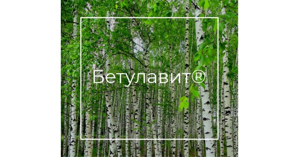 Бетулавит® - экстракт бересты