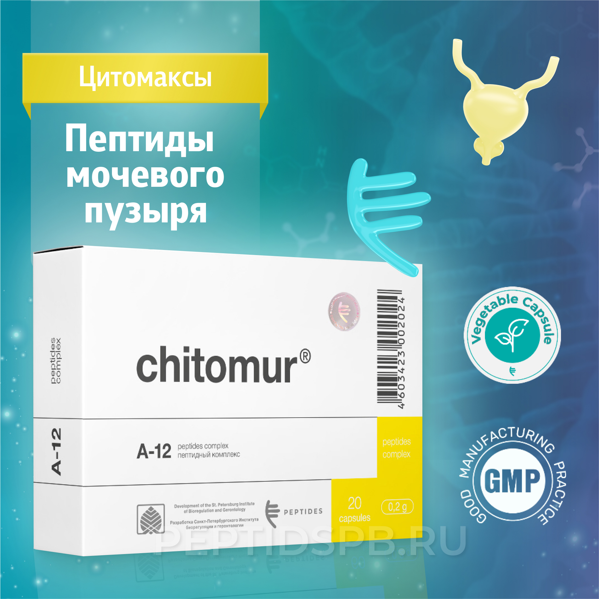 Читомур 20 капсул — натуральные пептиды мочевого пузыря