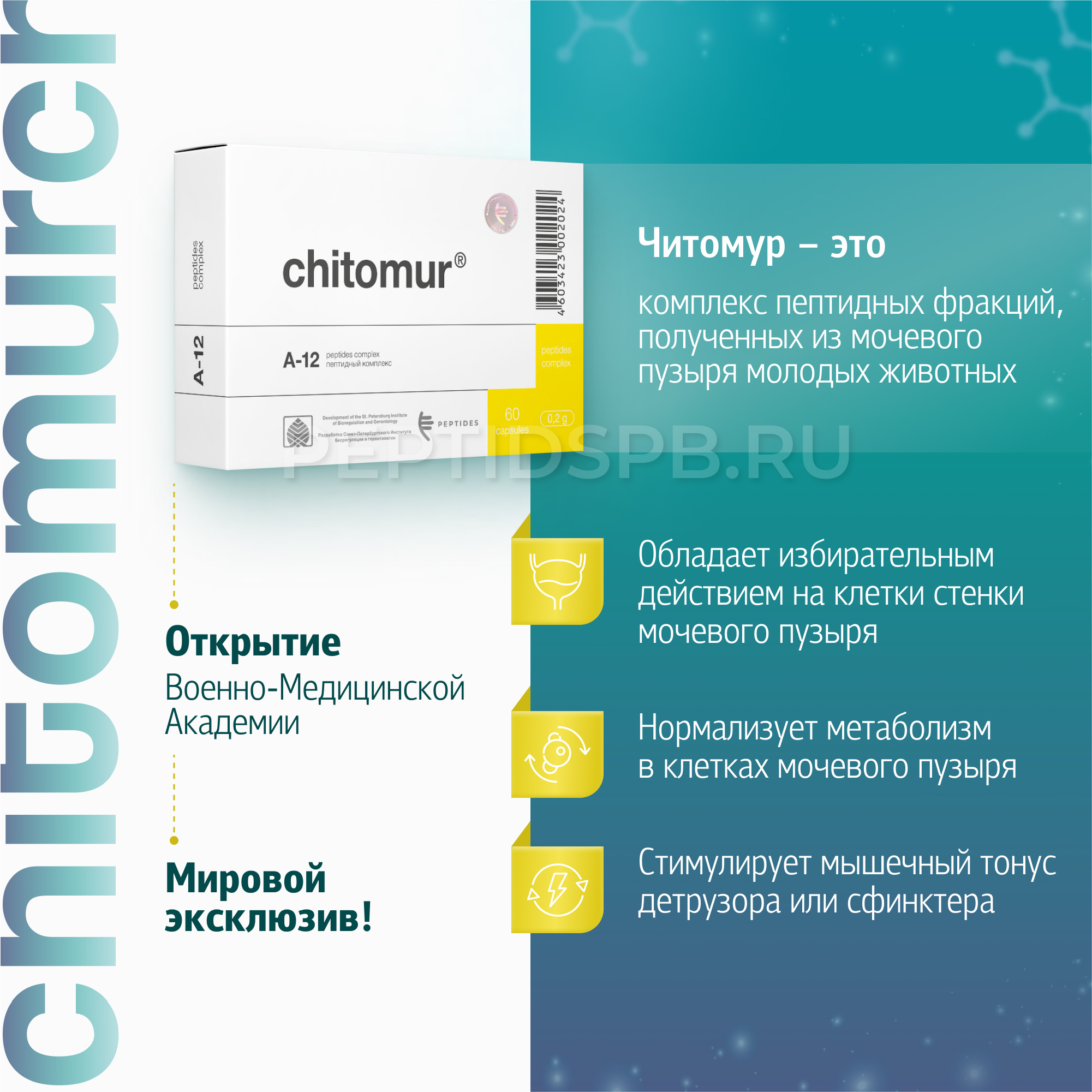 Читомур 60 капсул — натуральные пептиды мочевого пузыря