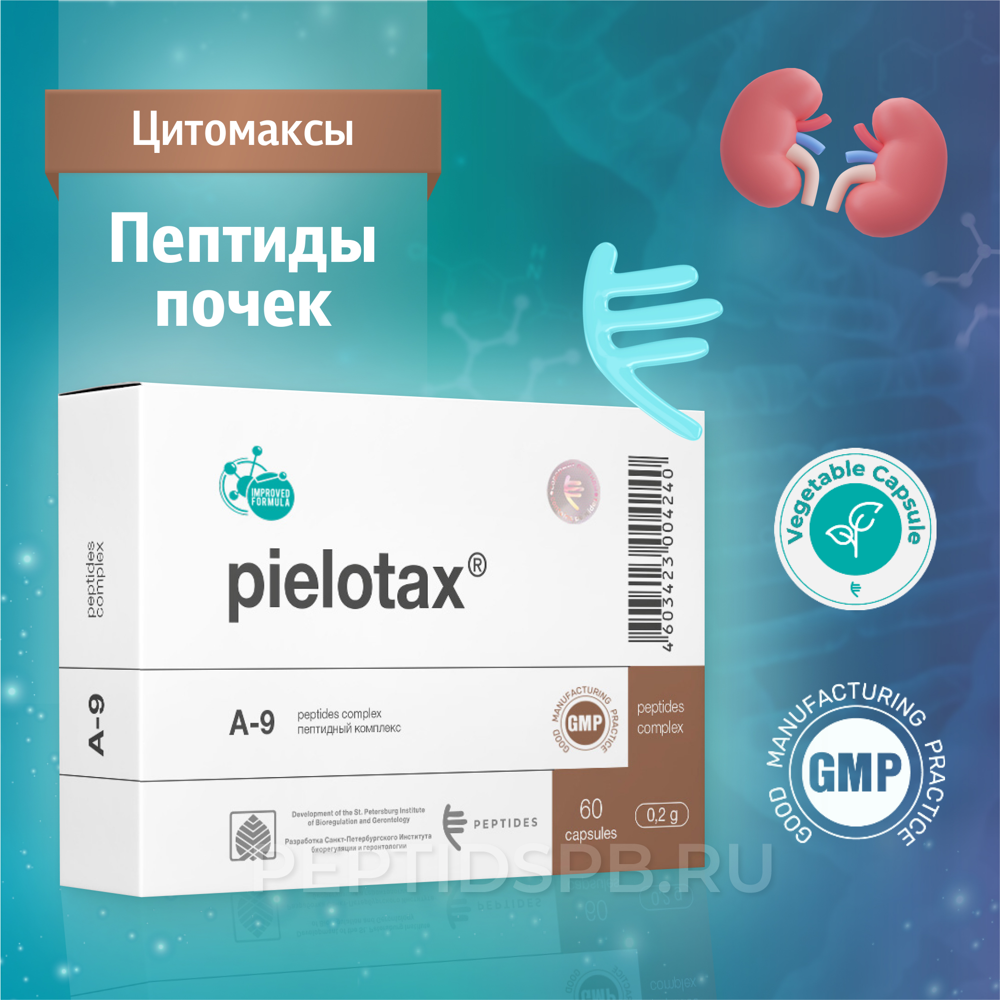 Пиелотакс 60 капсул — натуральные пептиды почек